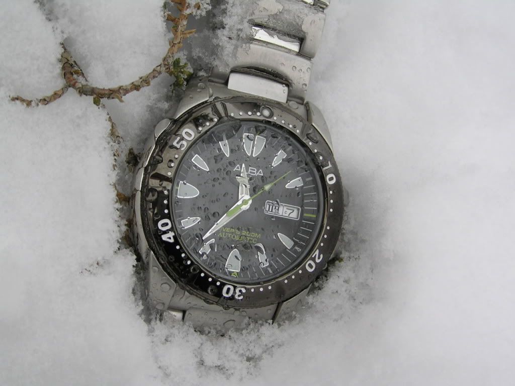 SOLD! Alba Diver Automatic | WatchUSeek Watch Forums